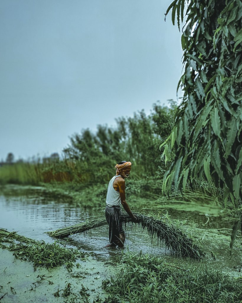 Farmers at work - PixaHive