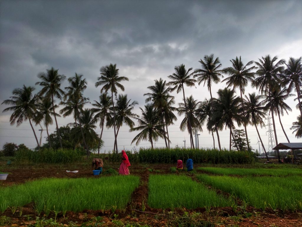 Farmers in field - PixaHive