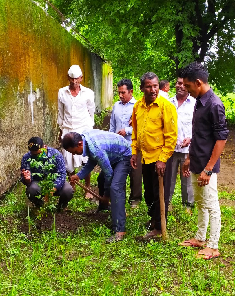 Farmers working tree plantation - PixaHive