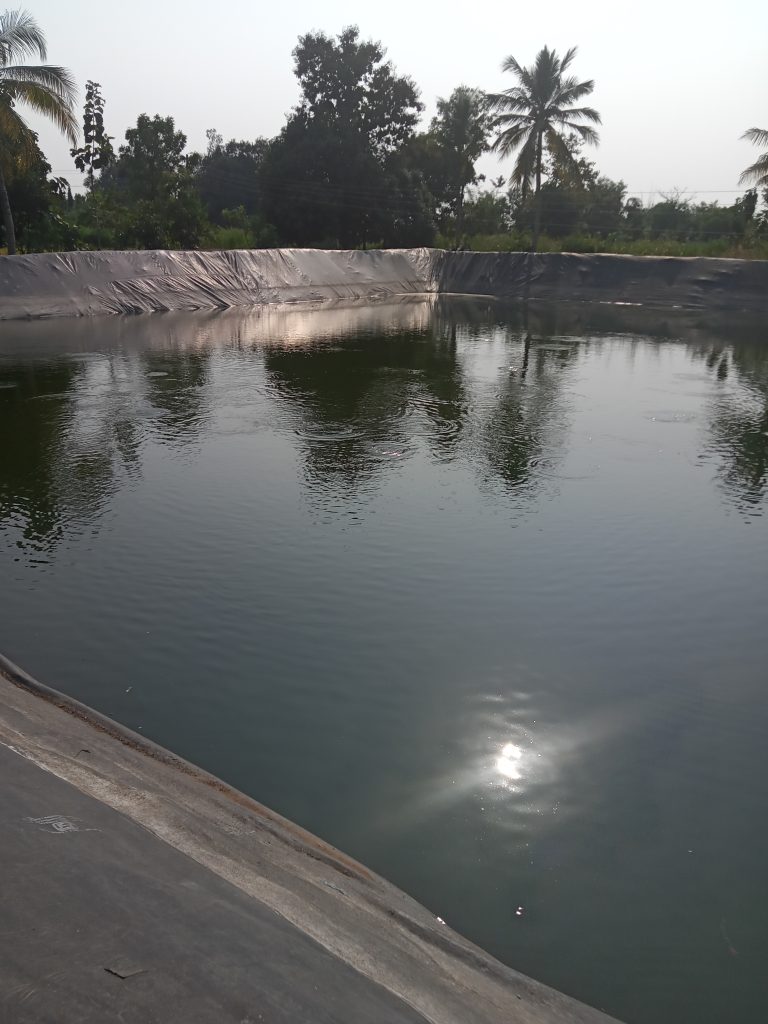 Fish Talav - PixaHive