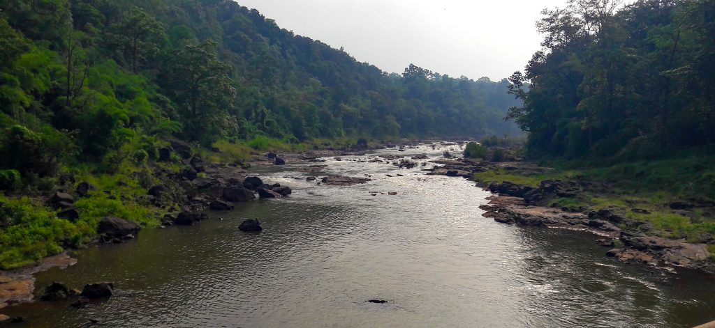 Forest river - PixaHive