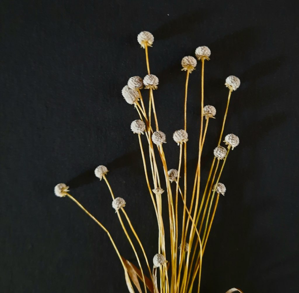 Golden grass plants - PixaHive