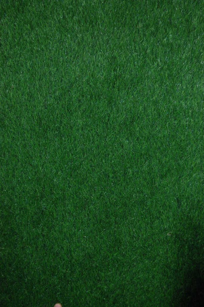 Green background - PixaHive