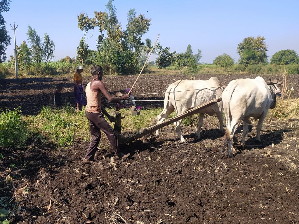 Hardworking farmers - PixaHive