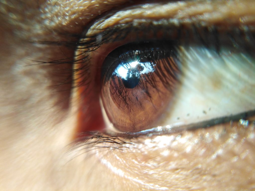 Human eye - PixaHive