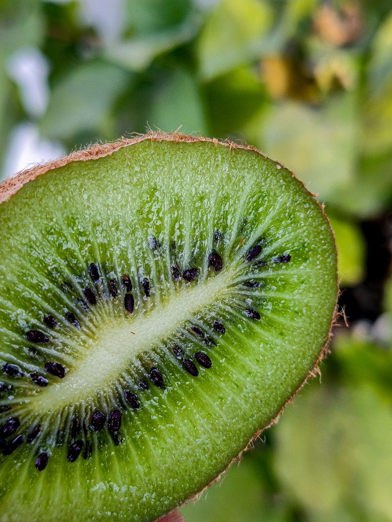 Kiwi fruit slice - PixaHive