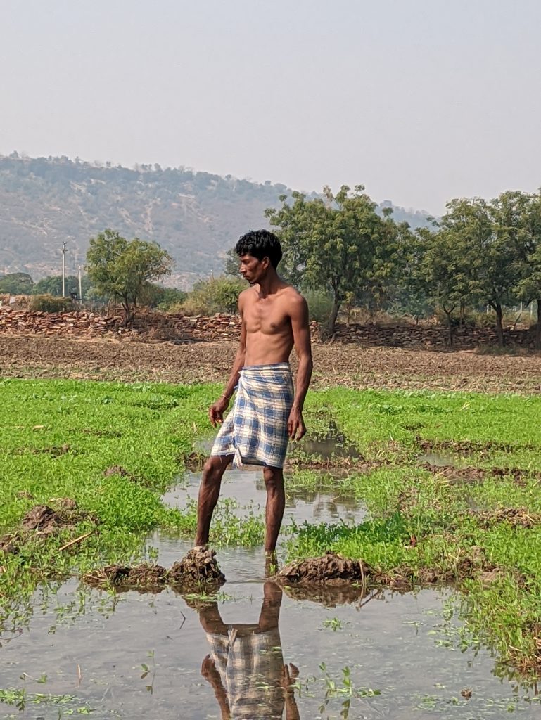 A man in a field - PixaHive