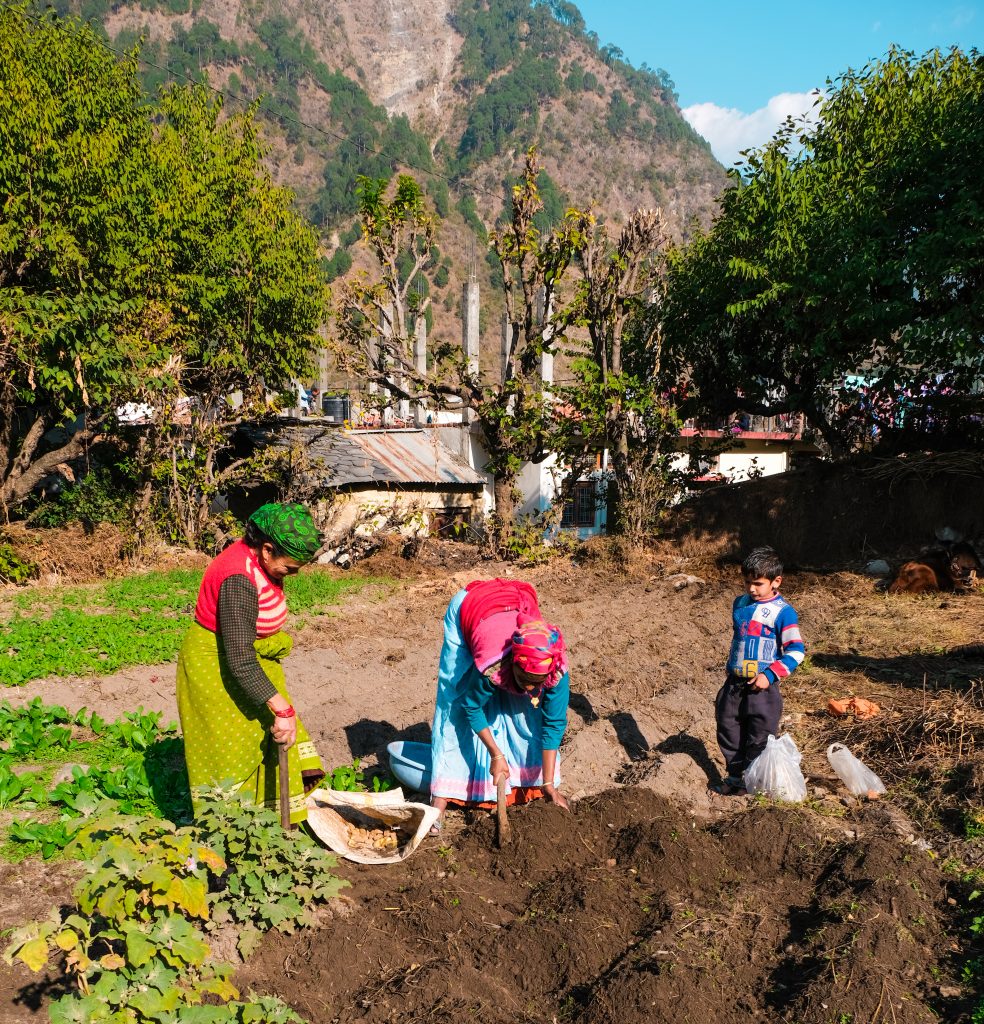 Mountain farmers working - PixaHive