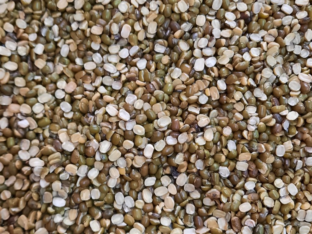 Mug seeds - PixaHive