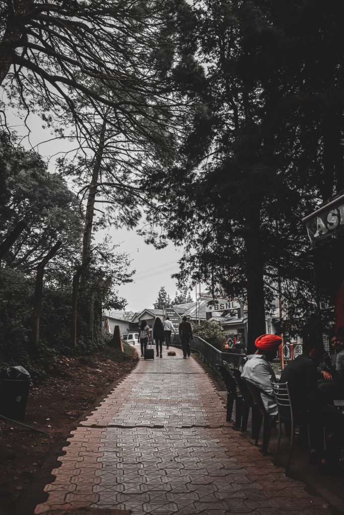 path among trees - PixaHive