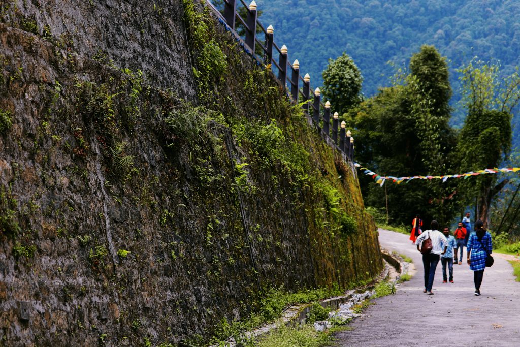 Girl walking along a big wall - PixaHive
