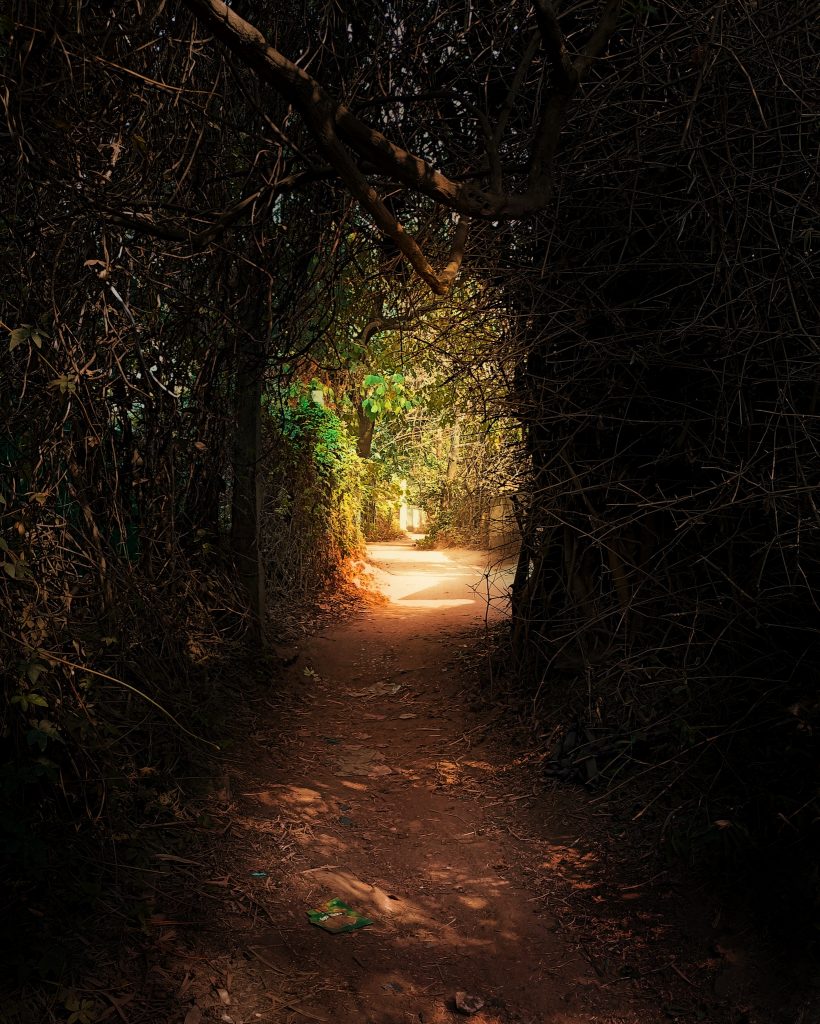 Path of village - PixaHive