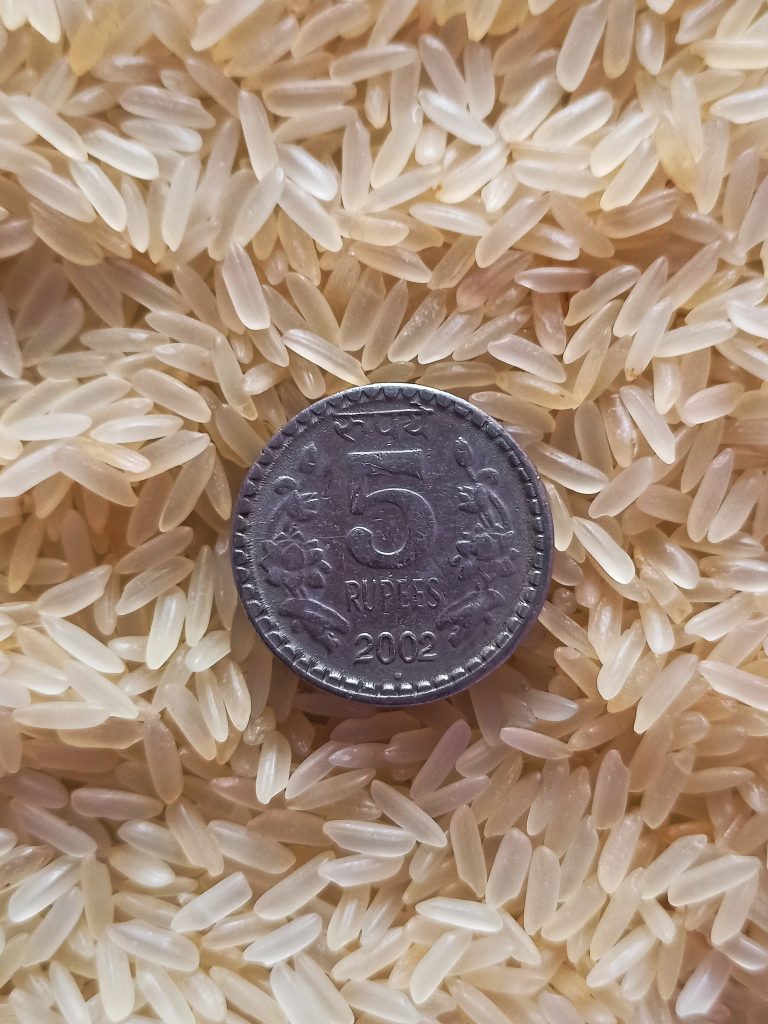 Rice with coin - PixaHive