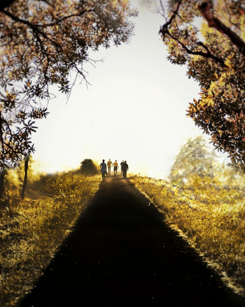 Walking through a forest road - PixaHive