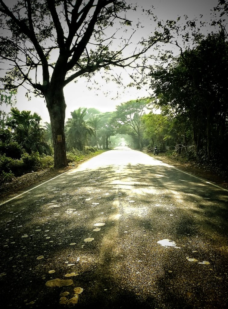 Road to destiny - PixaHive