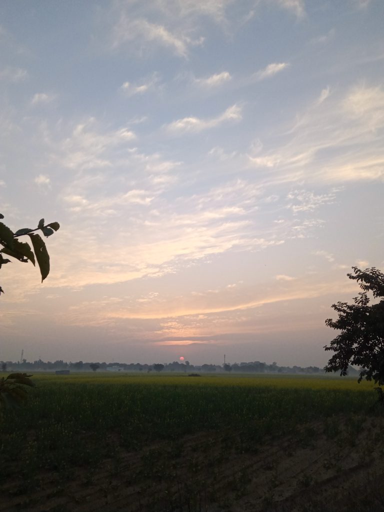 Sky and green fields - PixaHive