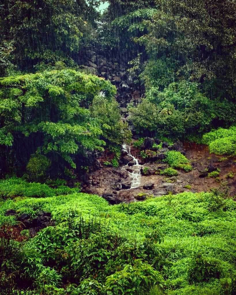 Small Stream Flowing Through the Rocks - PixaHive