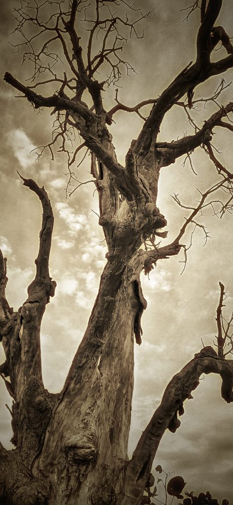 Standing alone - PixaHive