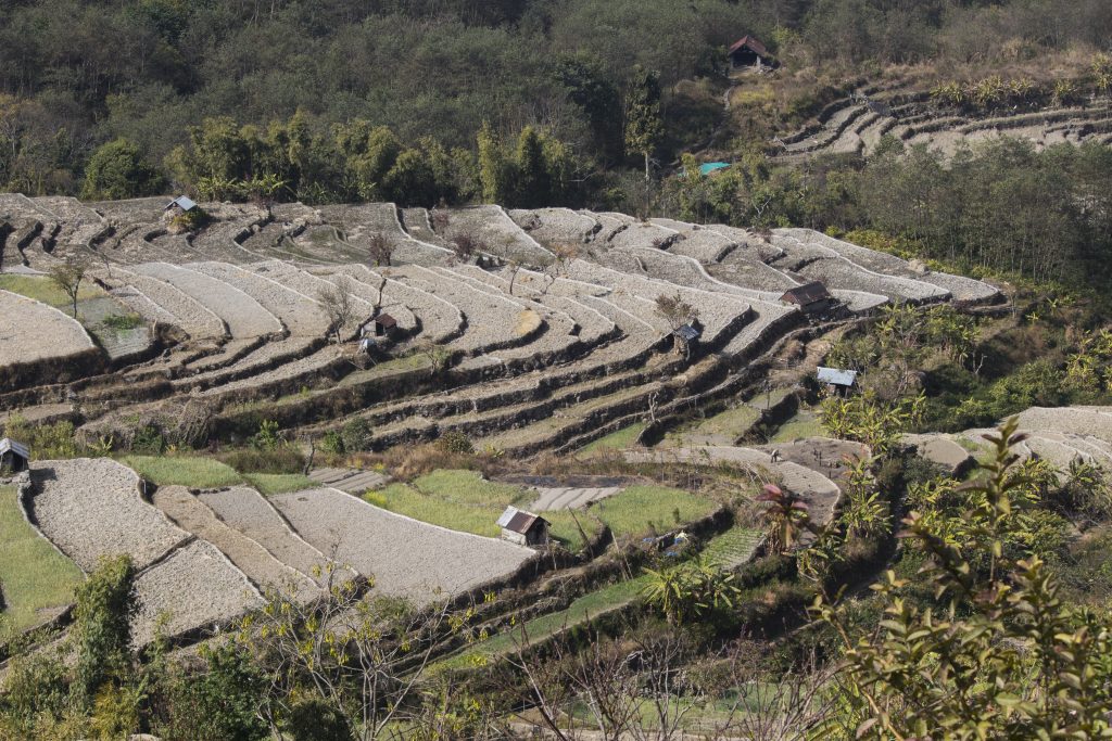 Step Cultivation on hills - PixaHive