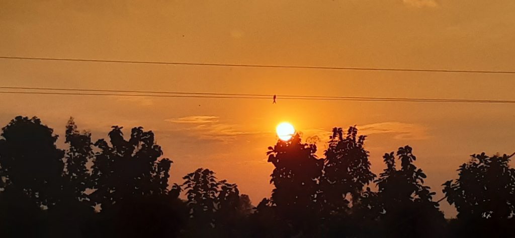 Sun Nature - PixaHive