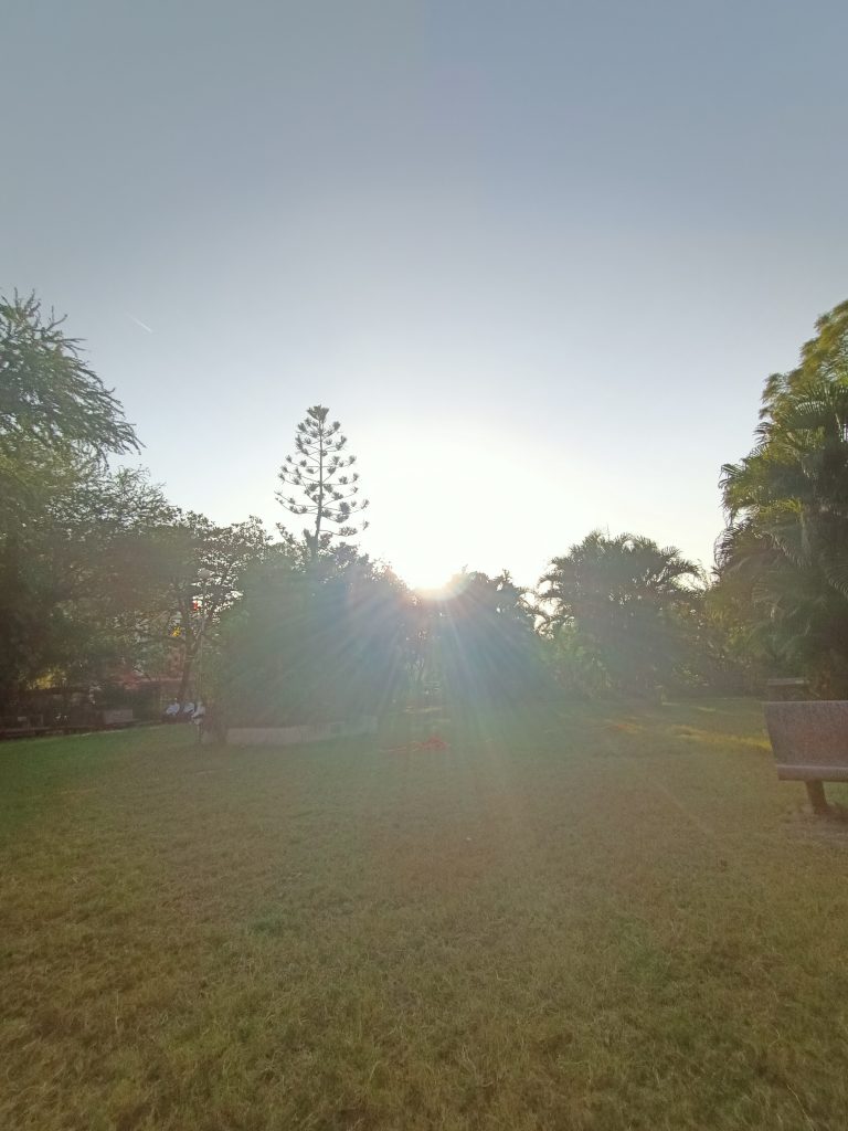 Sunset through a park - PixaHive
