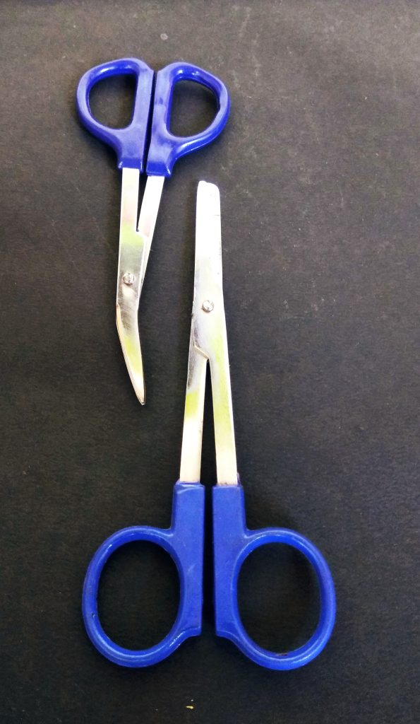 Two Scissors - PixaHive