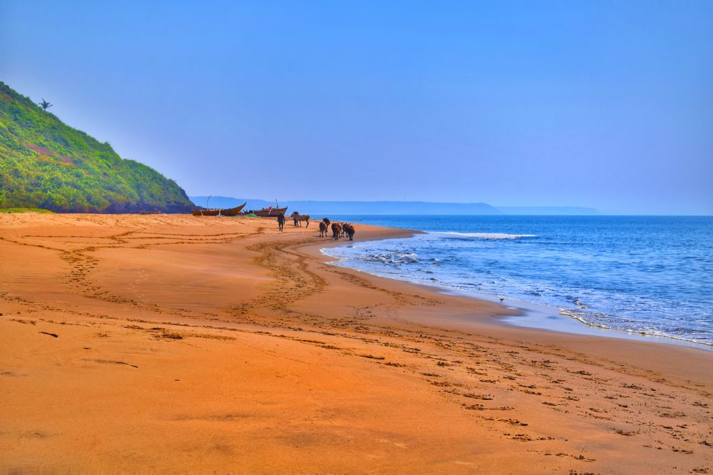 Vengurla beach - PixaHive