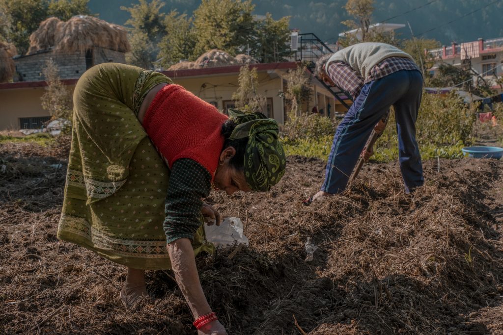 Village farmers working in fields - PixaHive