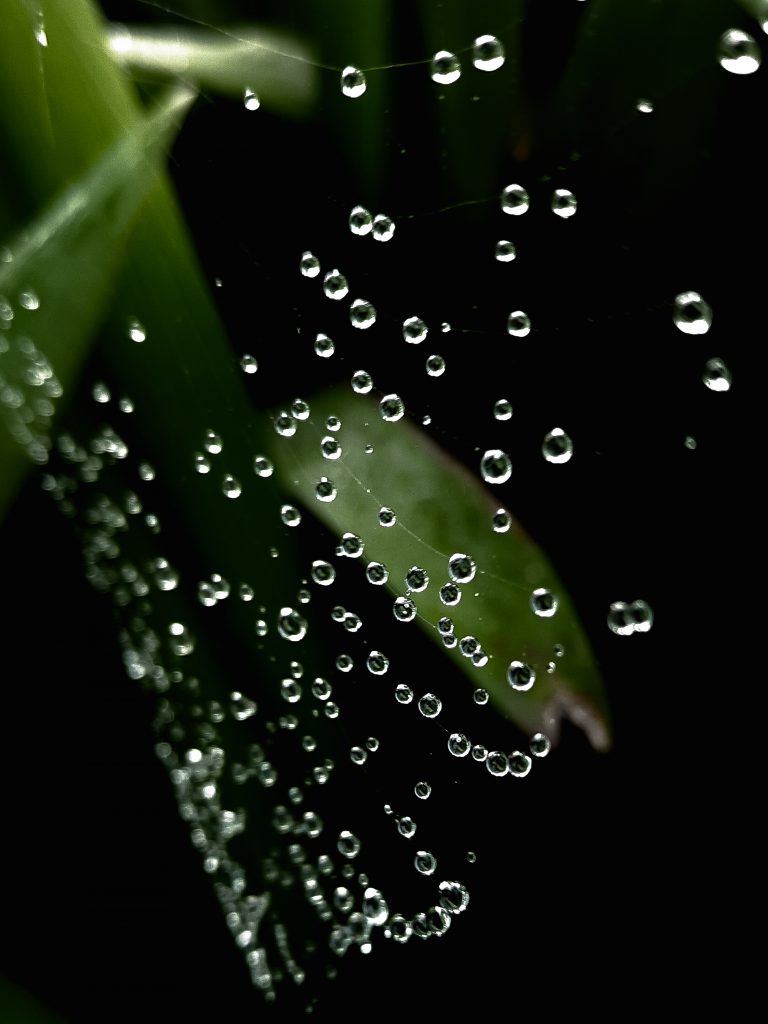 Water drops - PixaHive