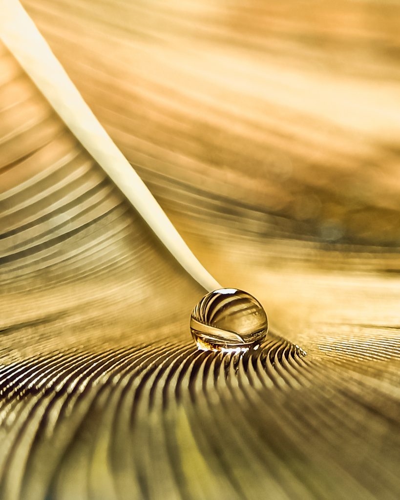 Water drops macro - PixaHive