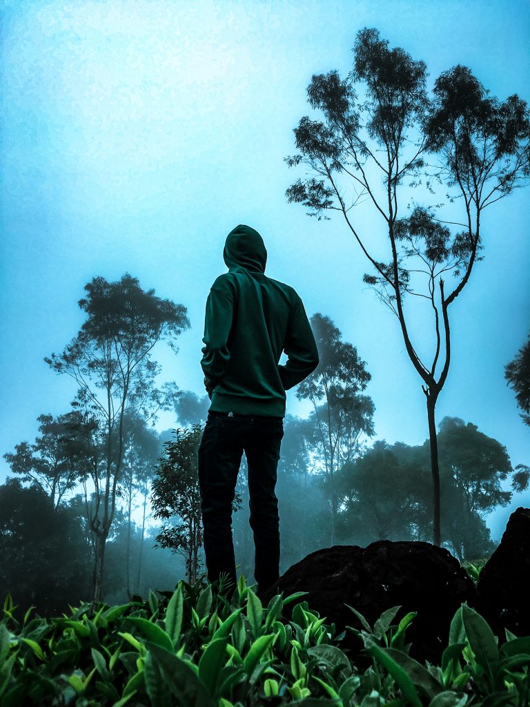 A boy in nature - PixaHive