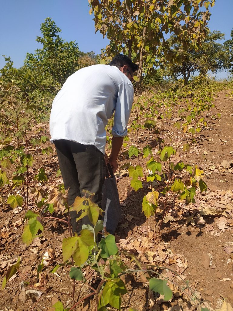 Working in fields - PixaHive
