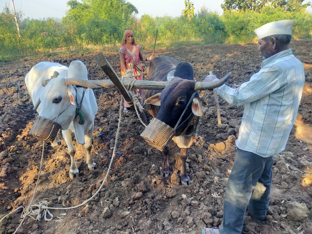 farmer at work - PixaHive