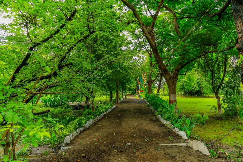 Beautiful Greenery View - PixaHive