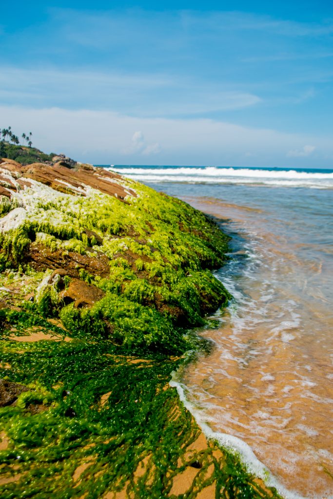 Kovalam beach in Kerala - PixaHive
