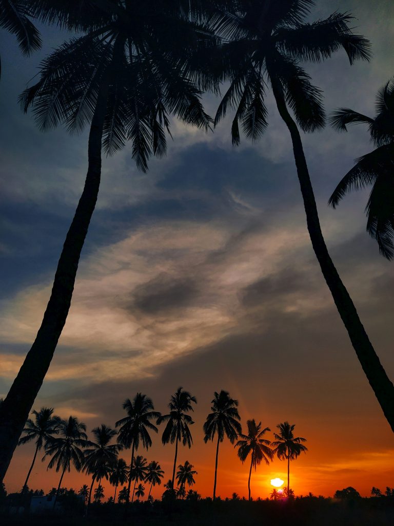 Sunrise in Kodinar - PixaHive