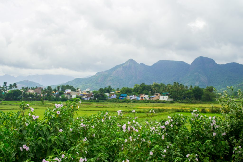 village view - PixaHive