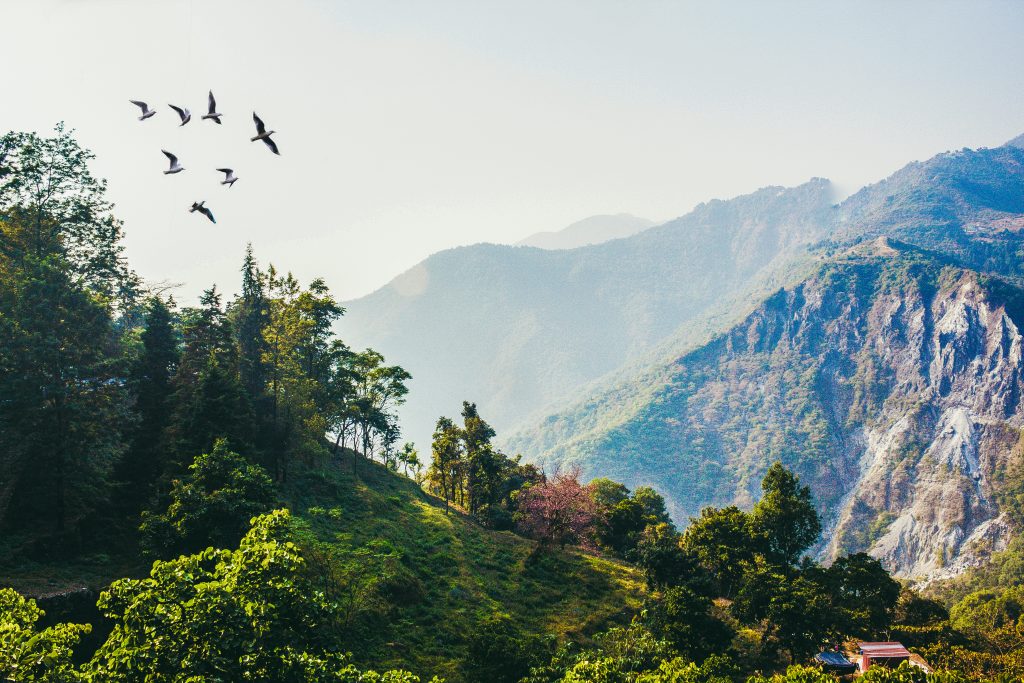 wonders of nature - PixaHive