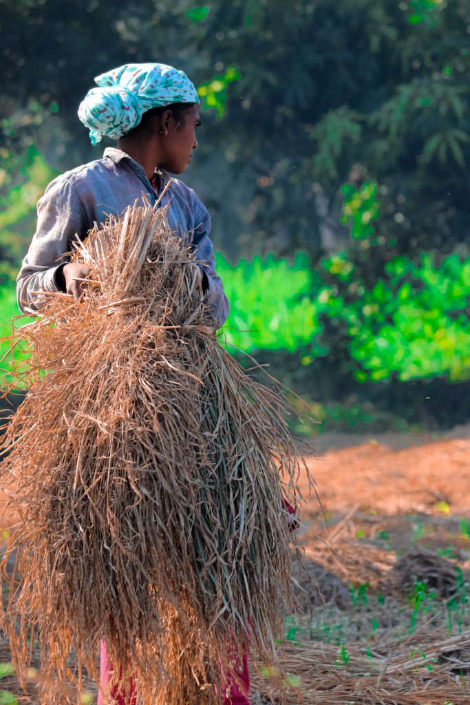 worker is working - PixaHive