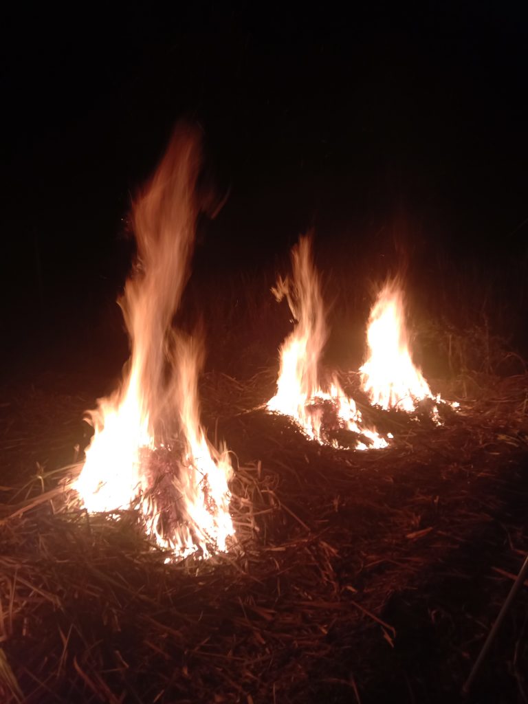 3 fire spot - PixaHive