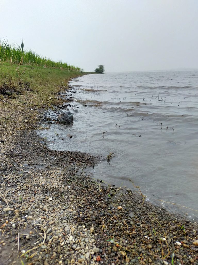 River near a crop farm - PixaHive