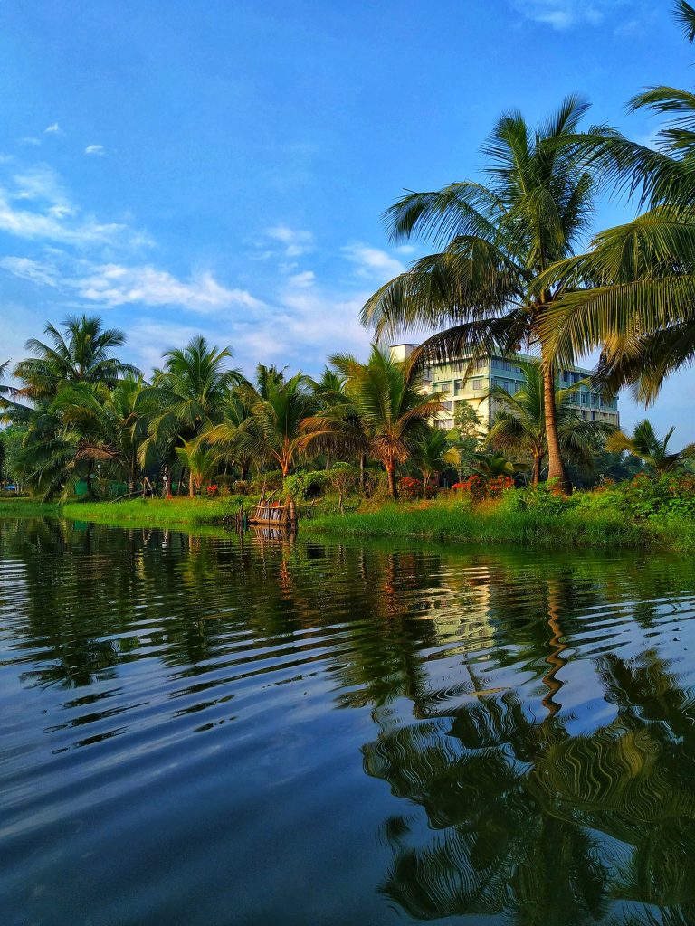 A lake and trees in Kochi - PixaHive