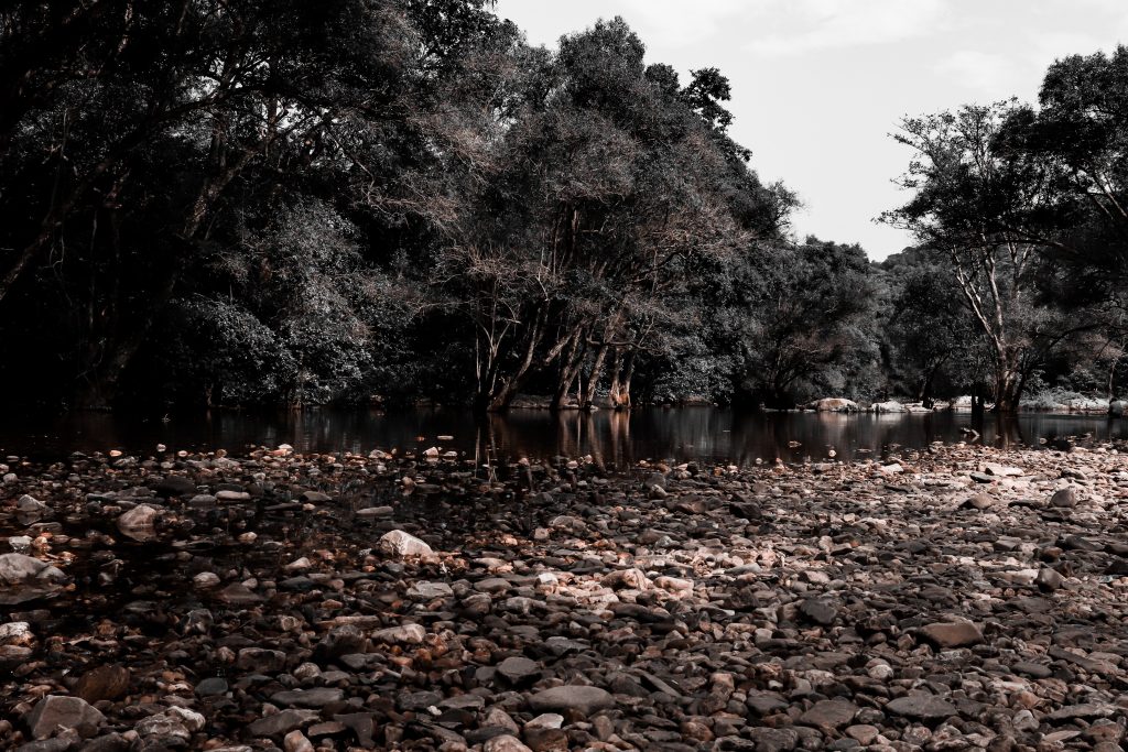 A river portrait in forest - PixaHive