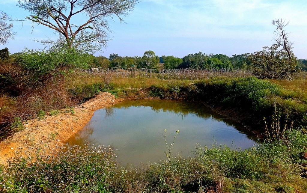 A small pond - PixaHive
