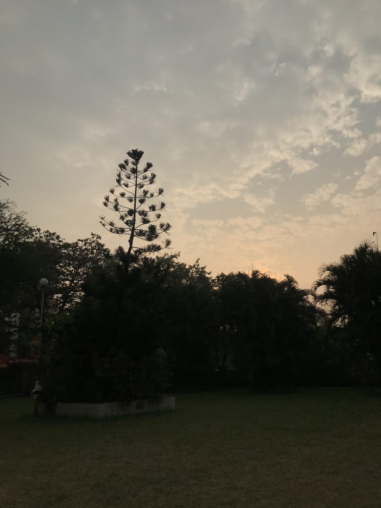 An evening - PixaHive