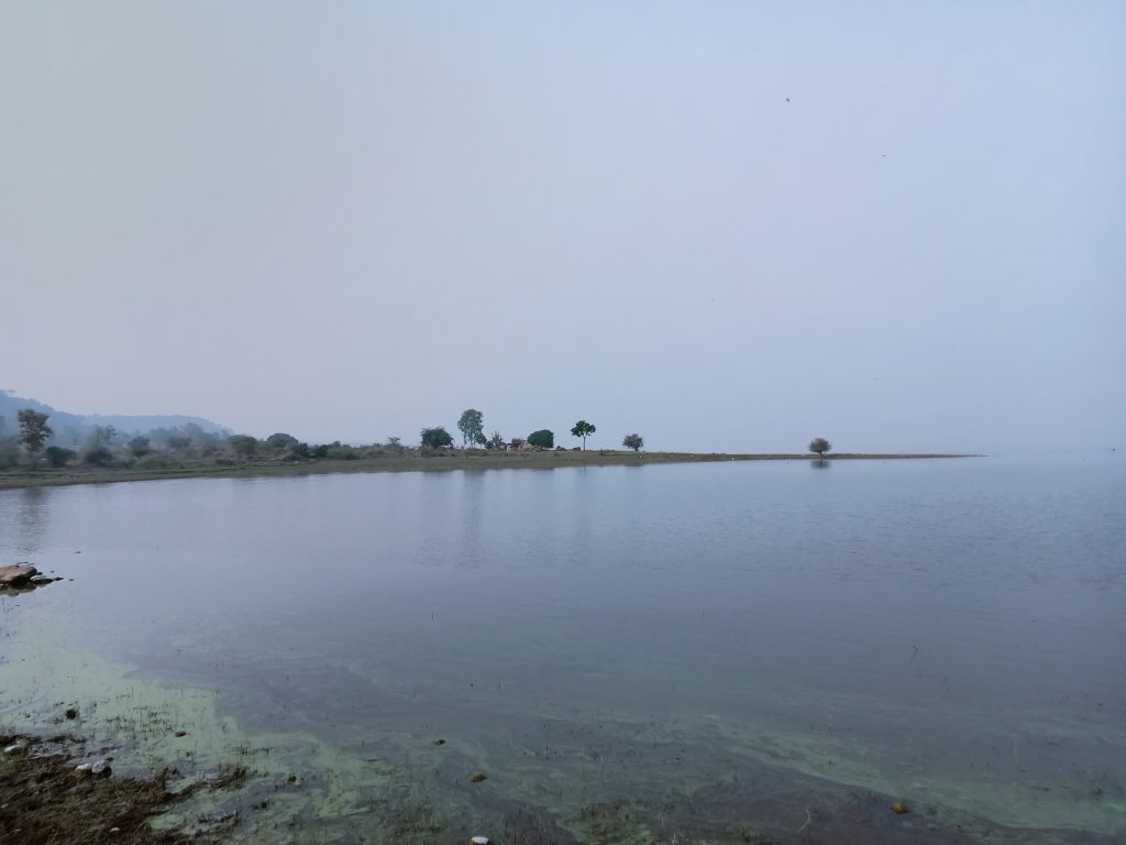 Beach hill, Jamki - PixaHive