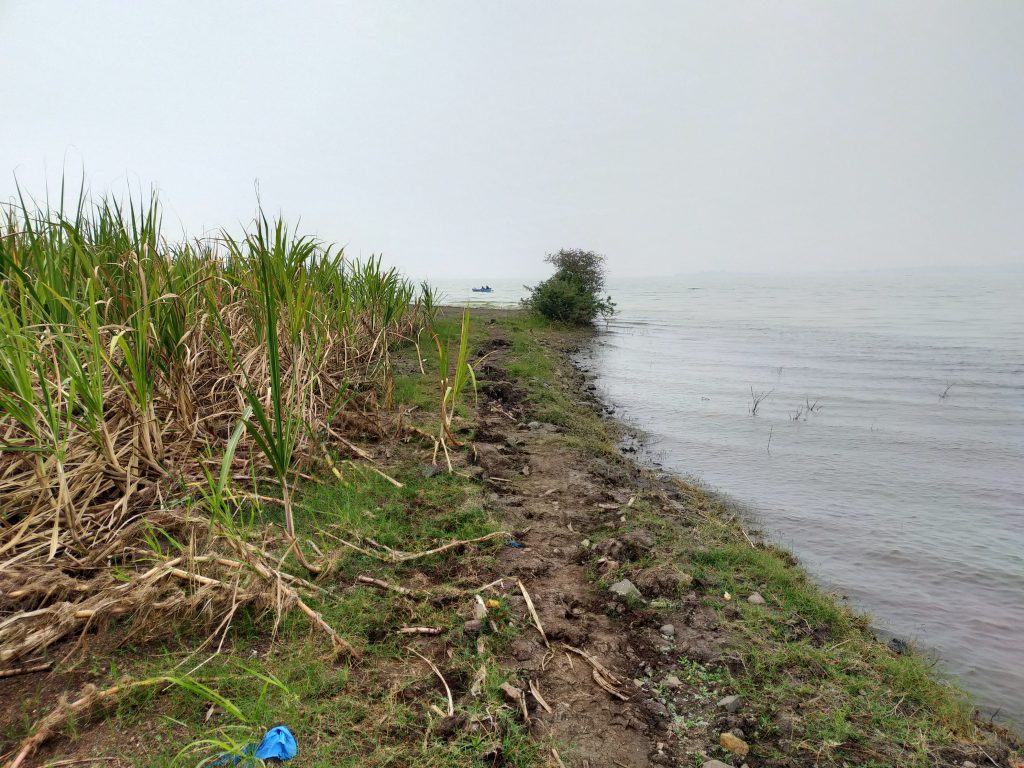 River view near a farm - PixaHive