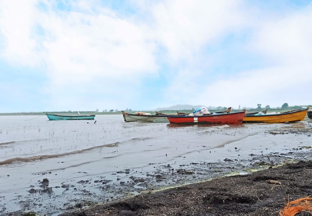 Boat park in Beach corner - PixaHive
