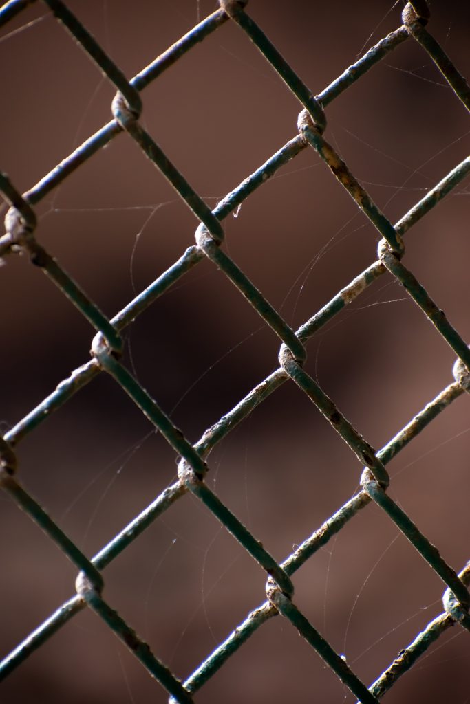 Spider web on steel cage - PixaHive