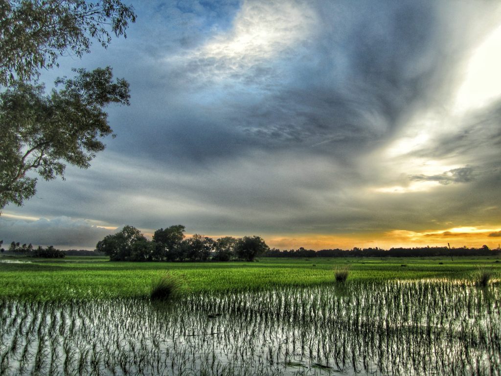 Cloudy Landscape - PixaHive